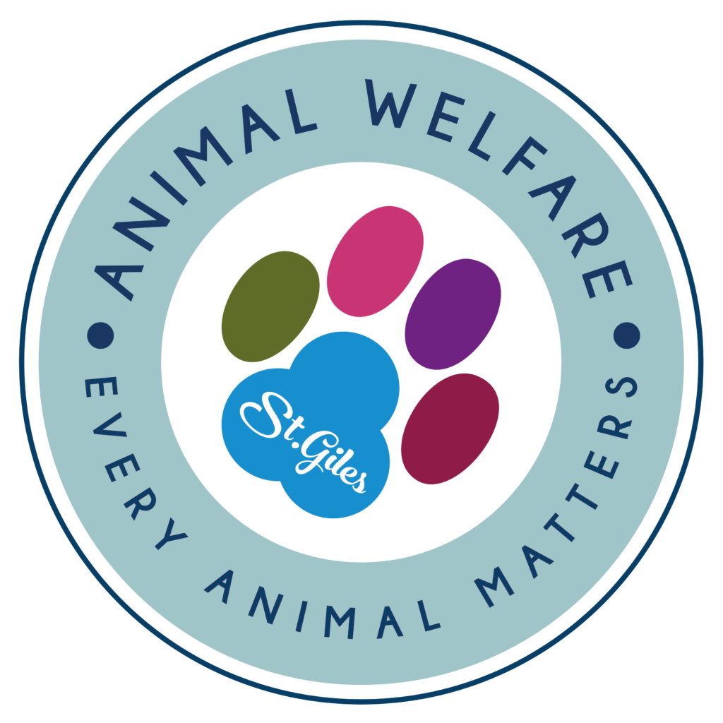 Enrichment Programme - St Giles Animal Welfare
